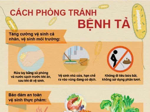 Tuyên truyền phòng tránh bệnh tả ở người (Cholerae)